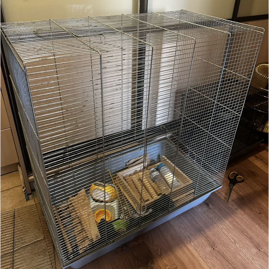 Огромная клетка для грызунов