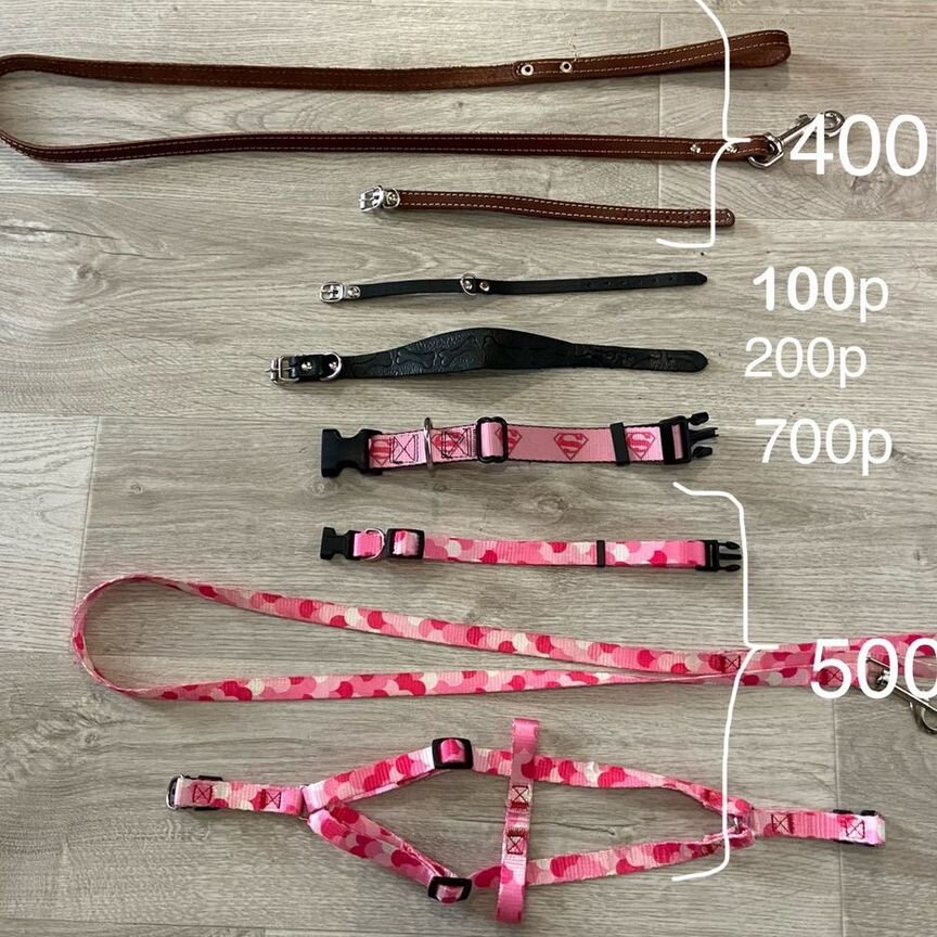 Амуниция для собак. Поводки. Ошейники