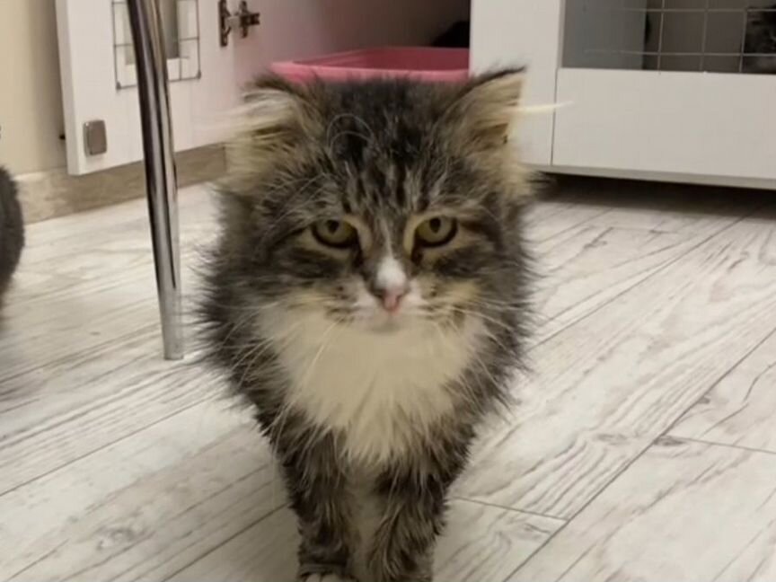 Никто не замечает