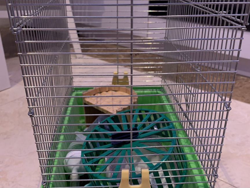 Клетка для грызунов