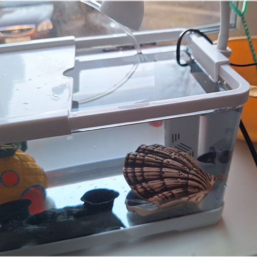 Аквариум с рыбками 9 литров