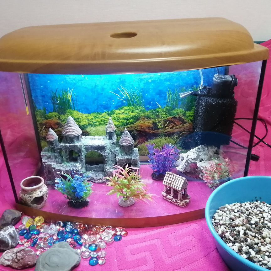 Аквариум 50л