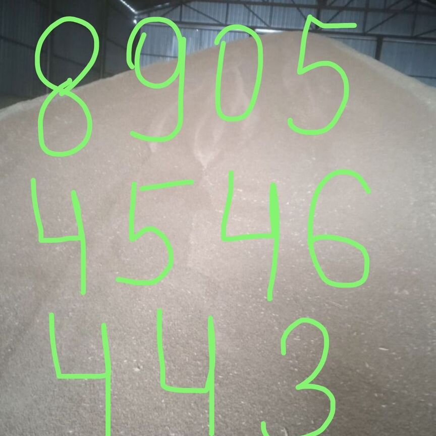 Зерно пшеницы оптом