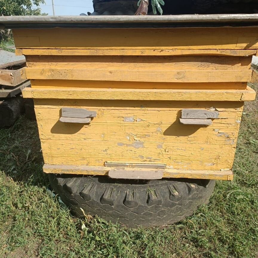 Улий лижак дадан,с магазином