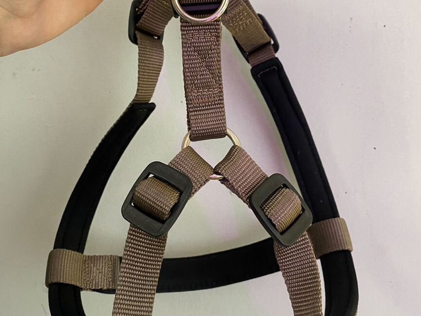 Шлейка для средней собаки