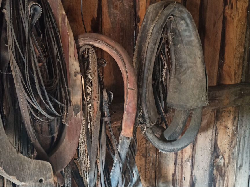 Конская упряжь