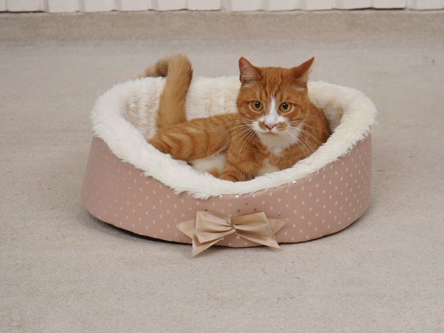 Лежанка для кошки / Когтеточка для кота