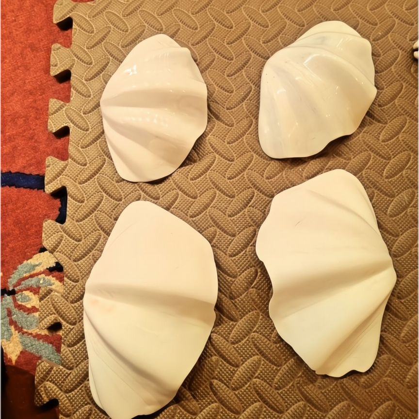 Морские раковины