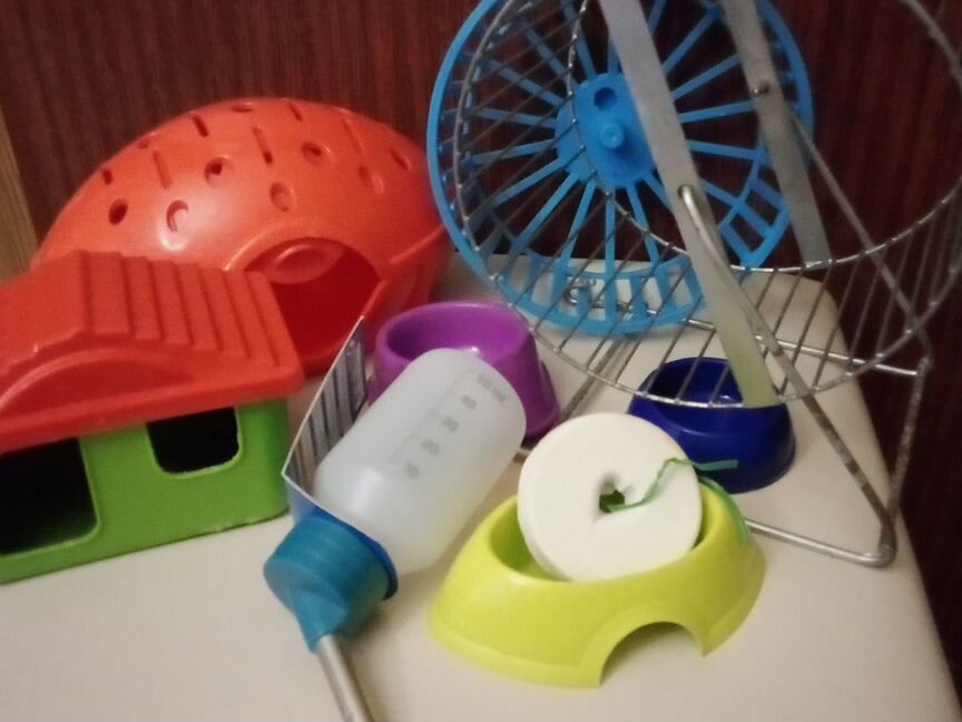 Принадлежности для грызунов