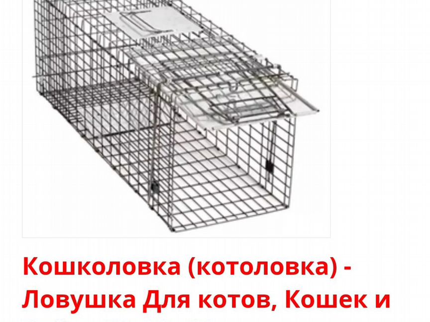 Кошколовка финская
