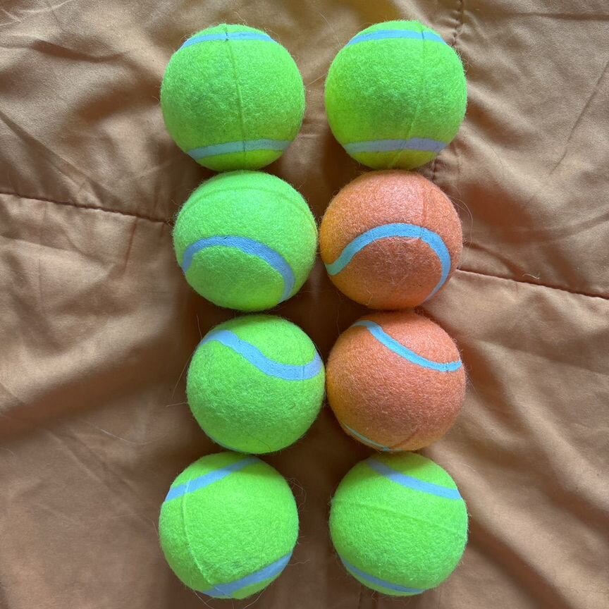 Мячики для собак