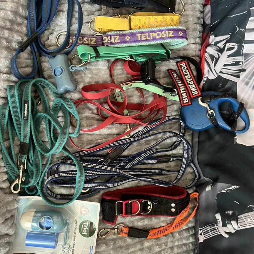 Водилка для собак