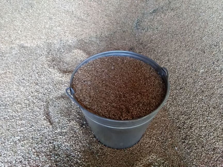 Зерно на корм