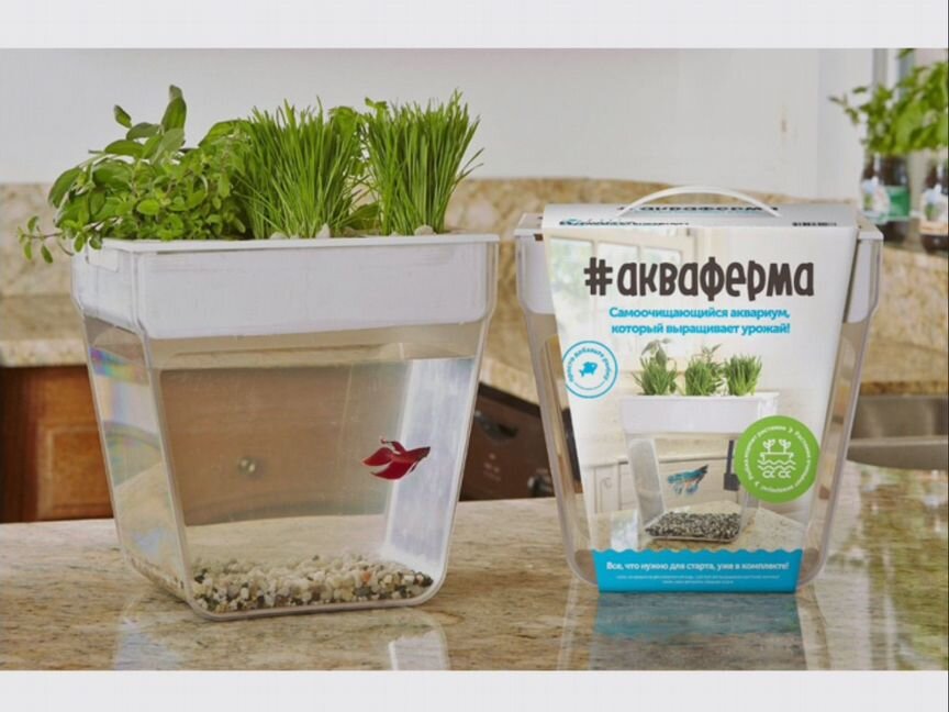 Акваферма Aquafarm