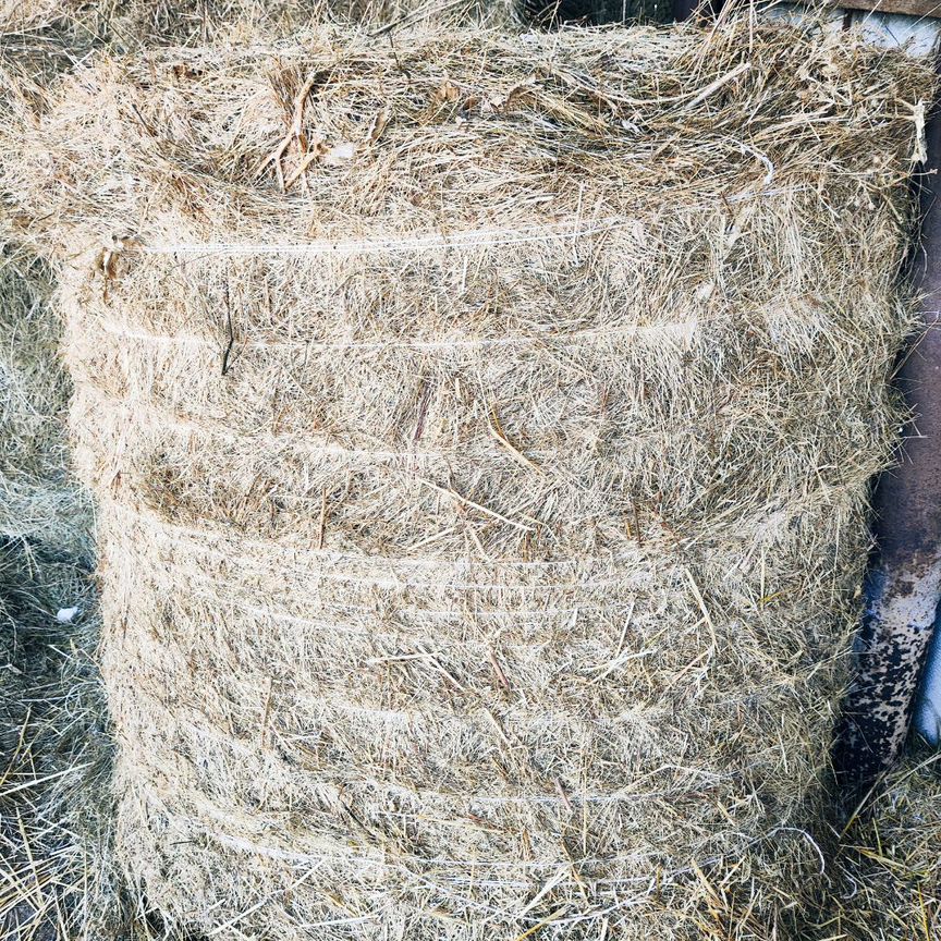 Сено в рулонах