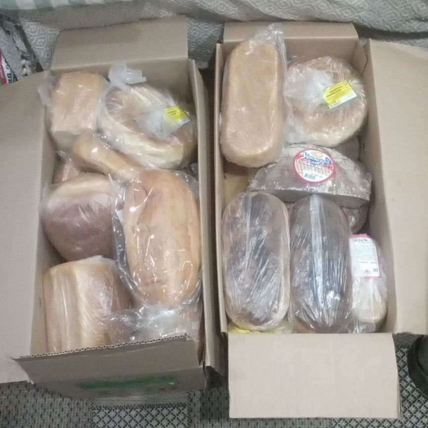 Корм для животных