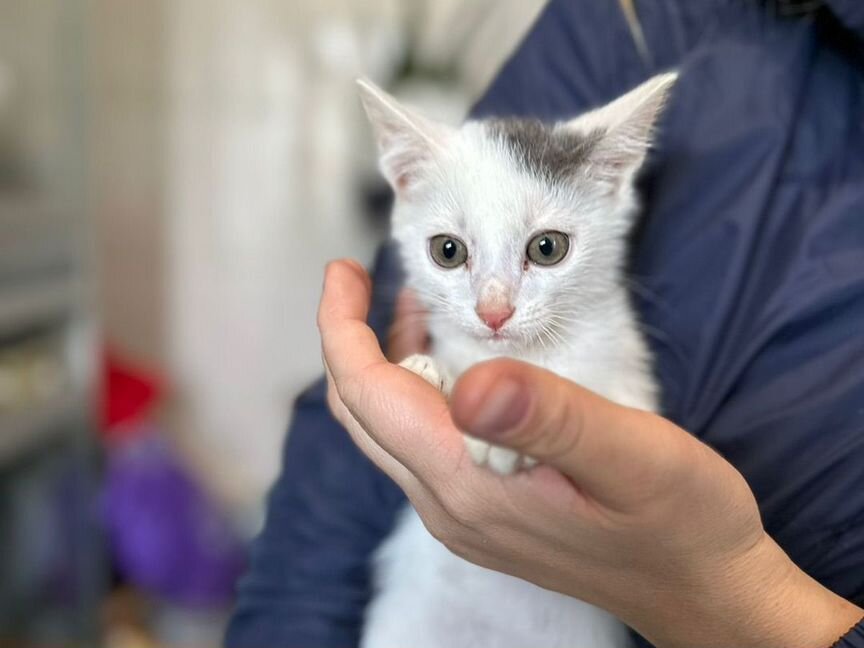 Малышу из приюта нужна семья