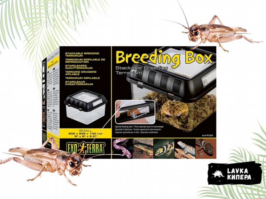 Контейнер Exo-Terra Breading Box
