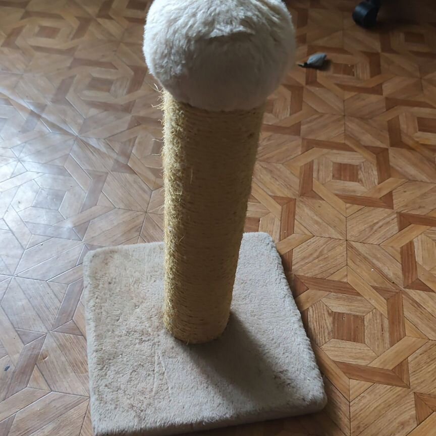 Когтеточка