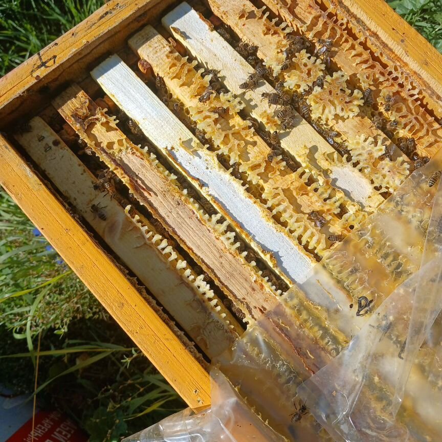 Ульи для пчел б-у 12 рамочные
