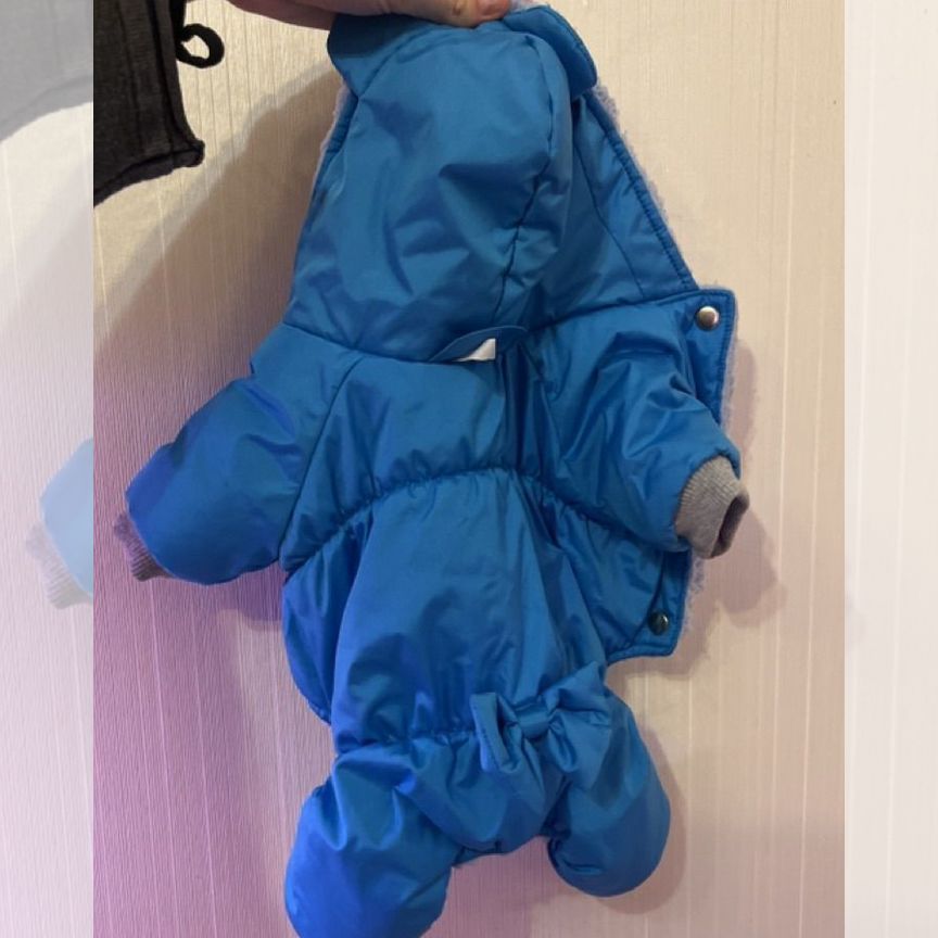 Одежда для маленьких собак