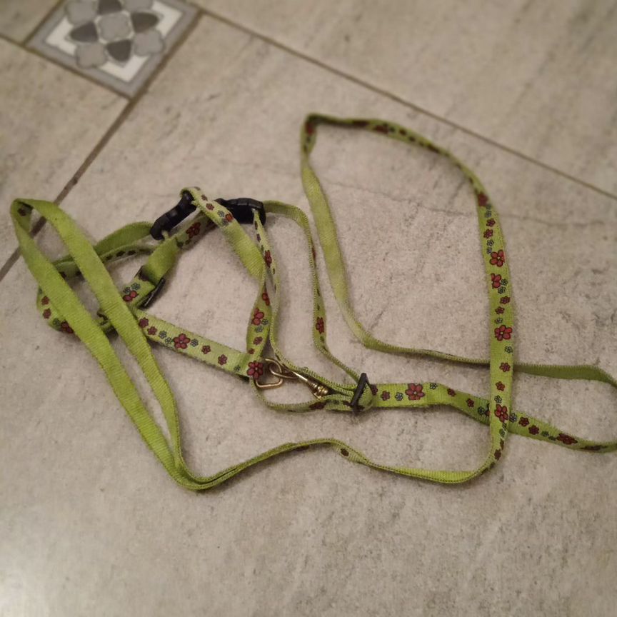 Шлейка для кошки