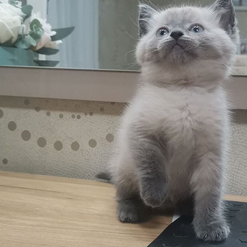 В заботливые руки)