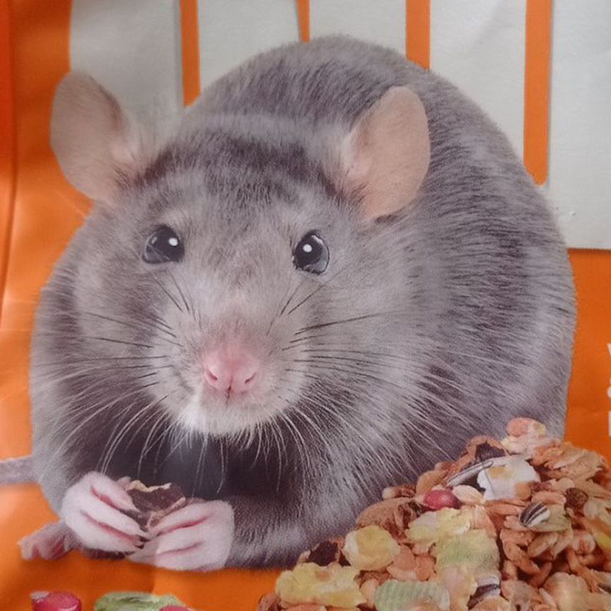 Корм для крыс Little one, 400г