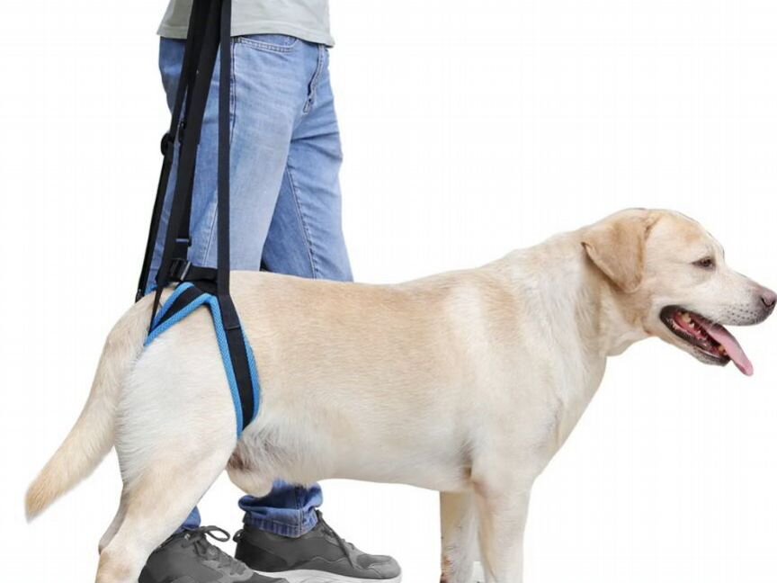 Поддерживающая шлейка для собак Doglem