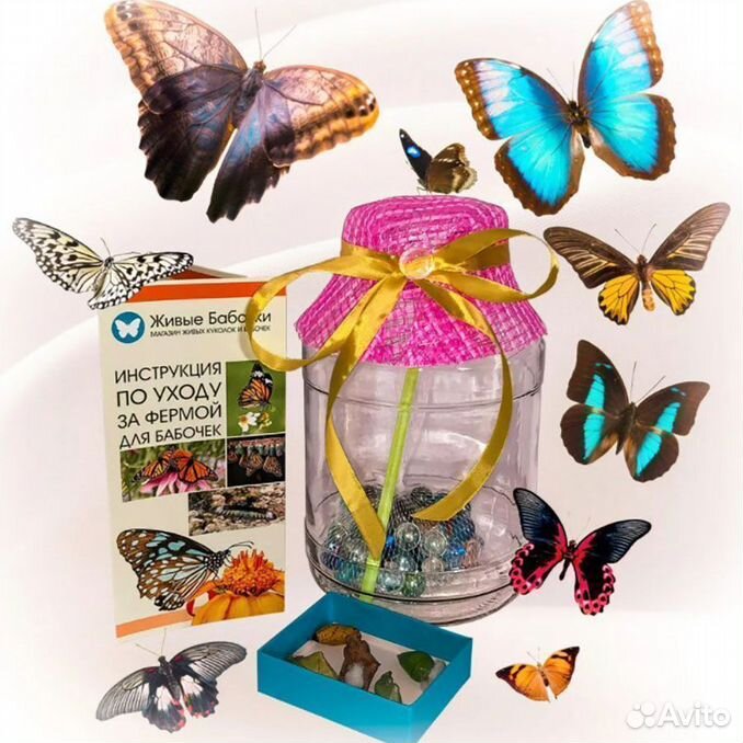 Ферма для выращивания бабочек д/ф-12 CD