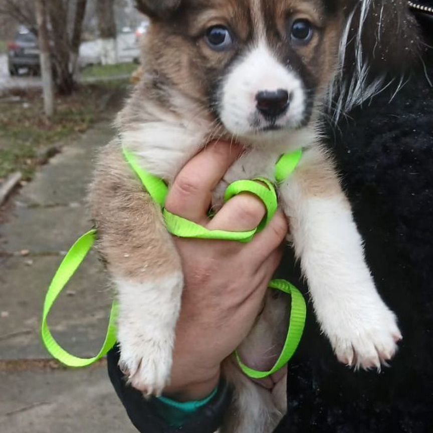 Плюшевая плюшечка Наташа