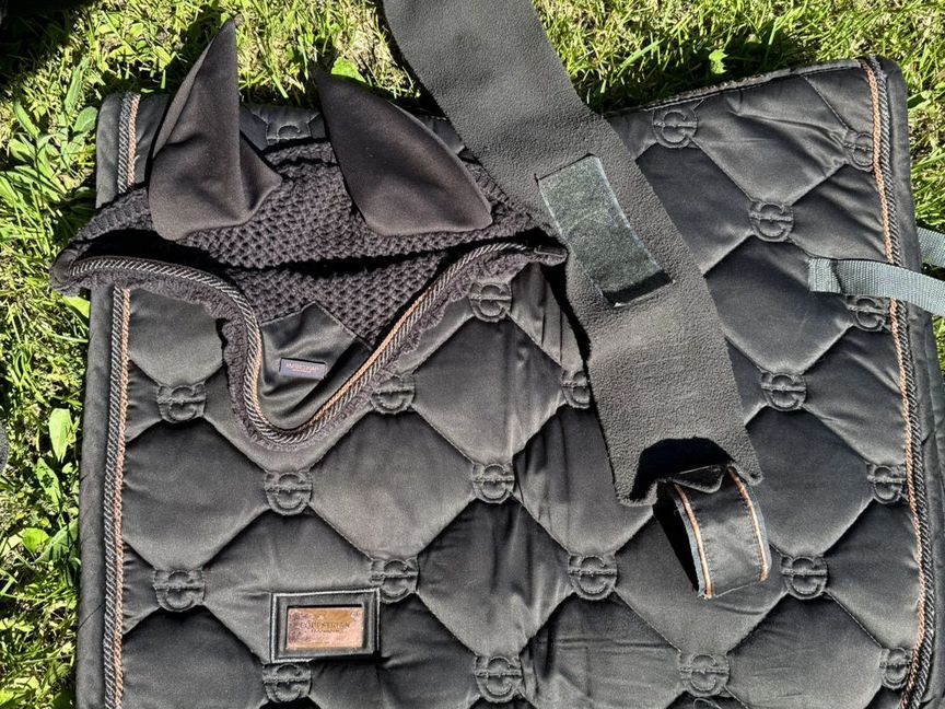 Вальтрап equestrian stockholm dark sky