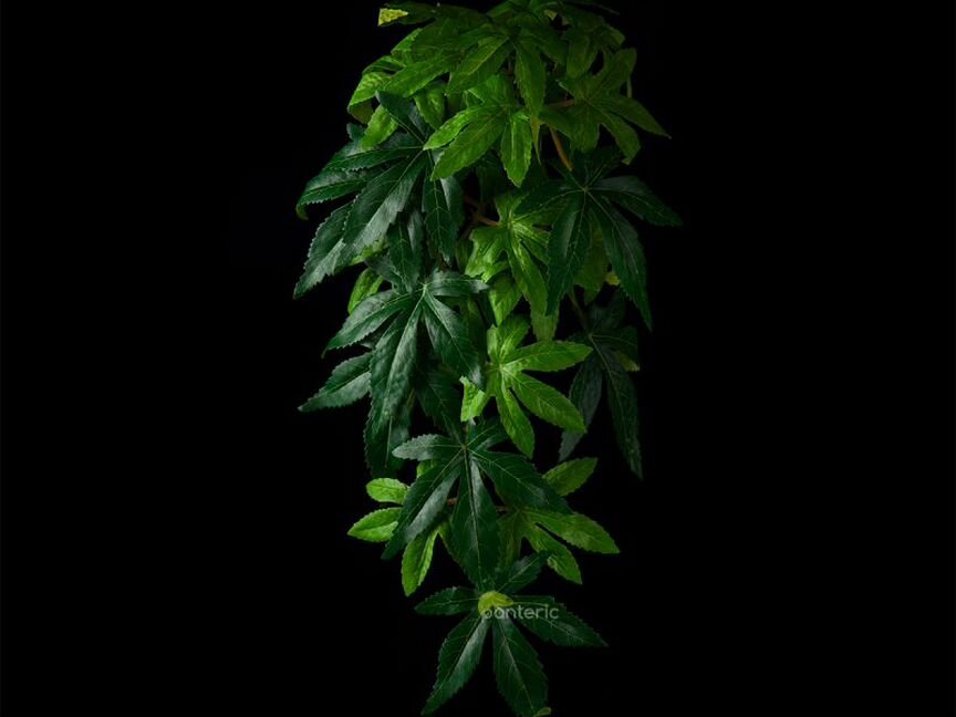 Навесное Искусственное растение Exo-Terra Abutilon