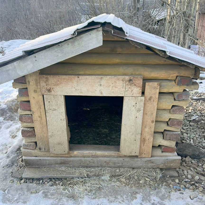 Собачья будка