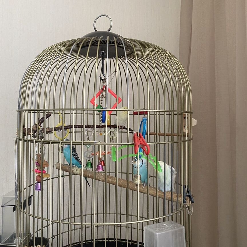 Клетка для крупного попугая