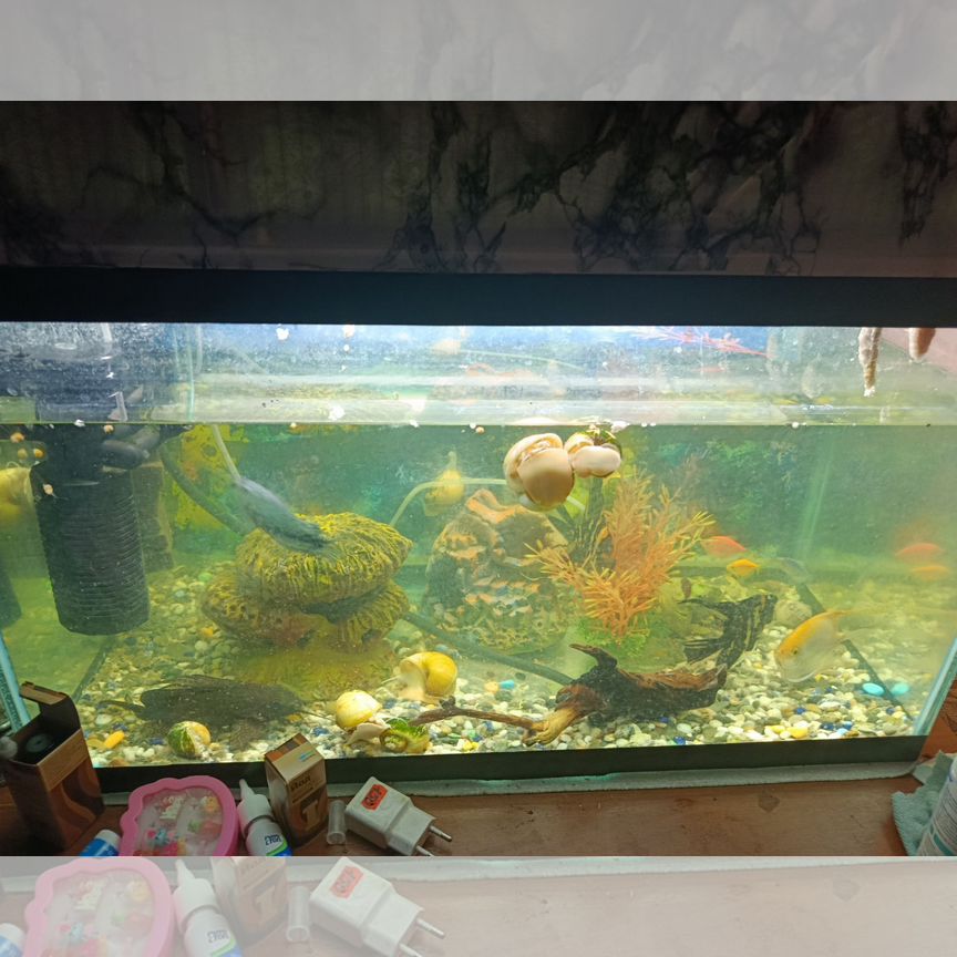 Продам аквариум