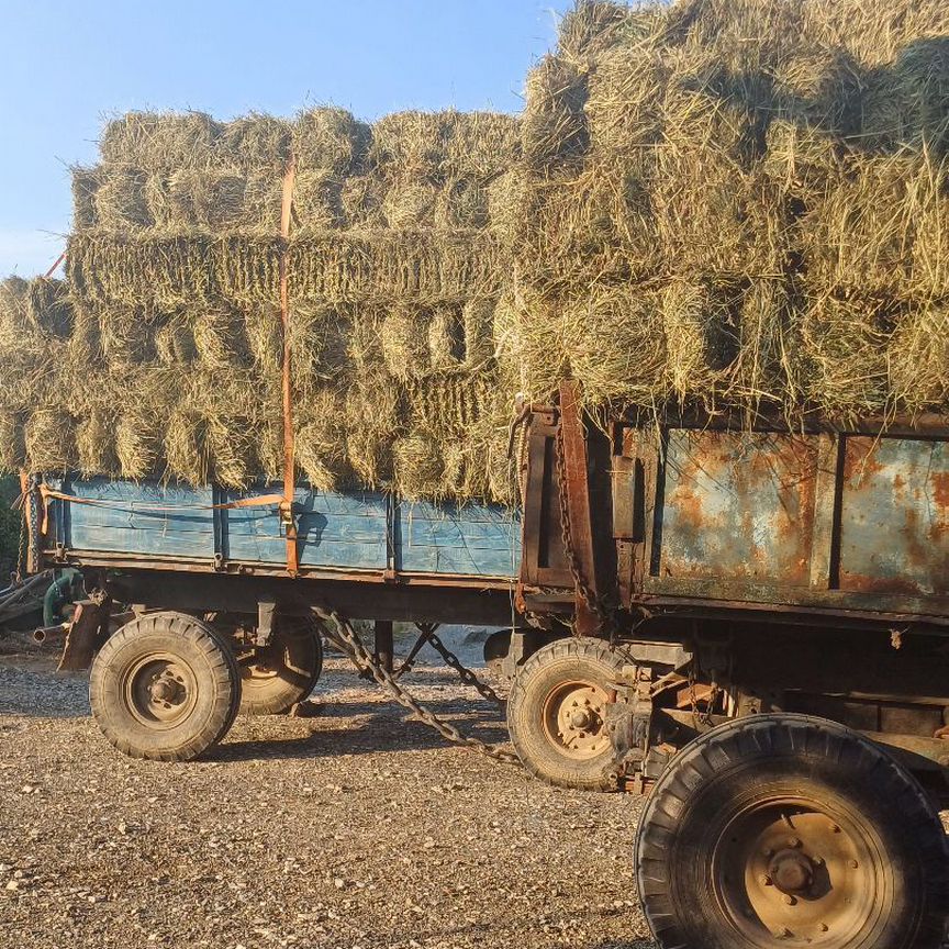 Сено в брикетах