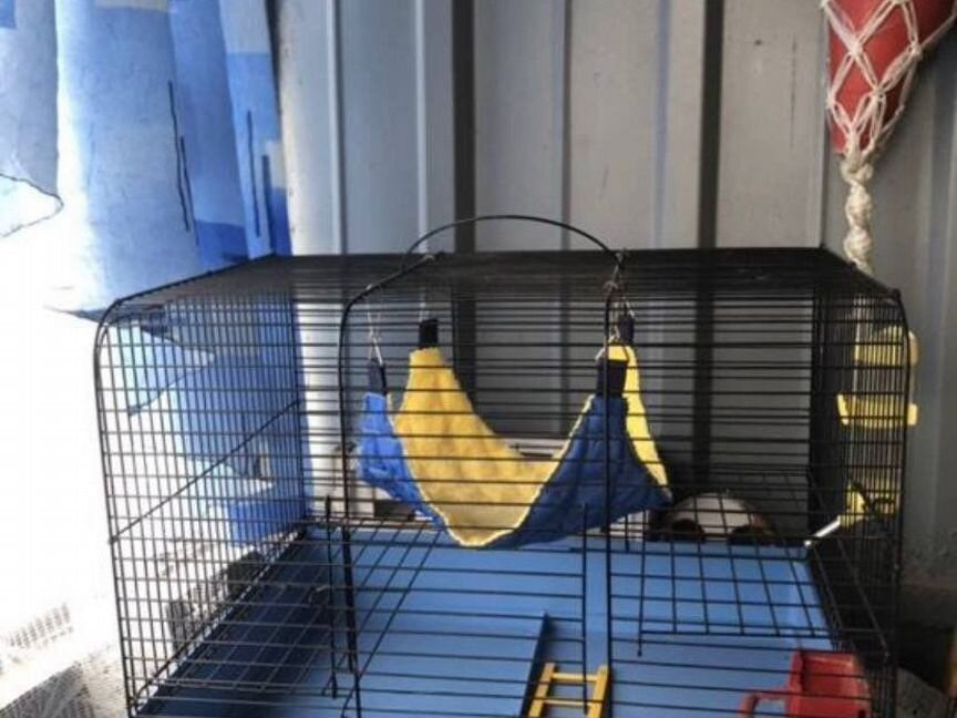 Клетка для грызунов большая