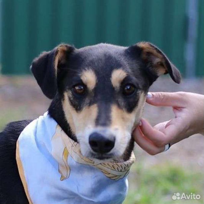 Скромная и воспитанная Марго ищет семью