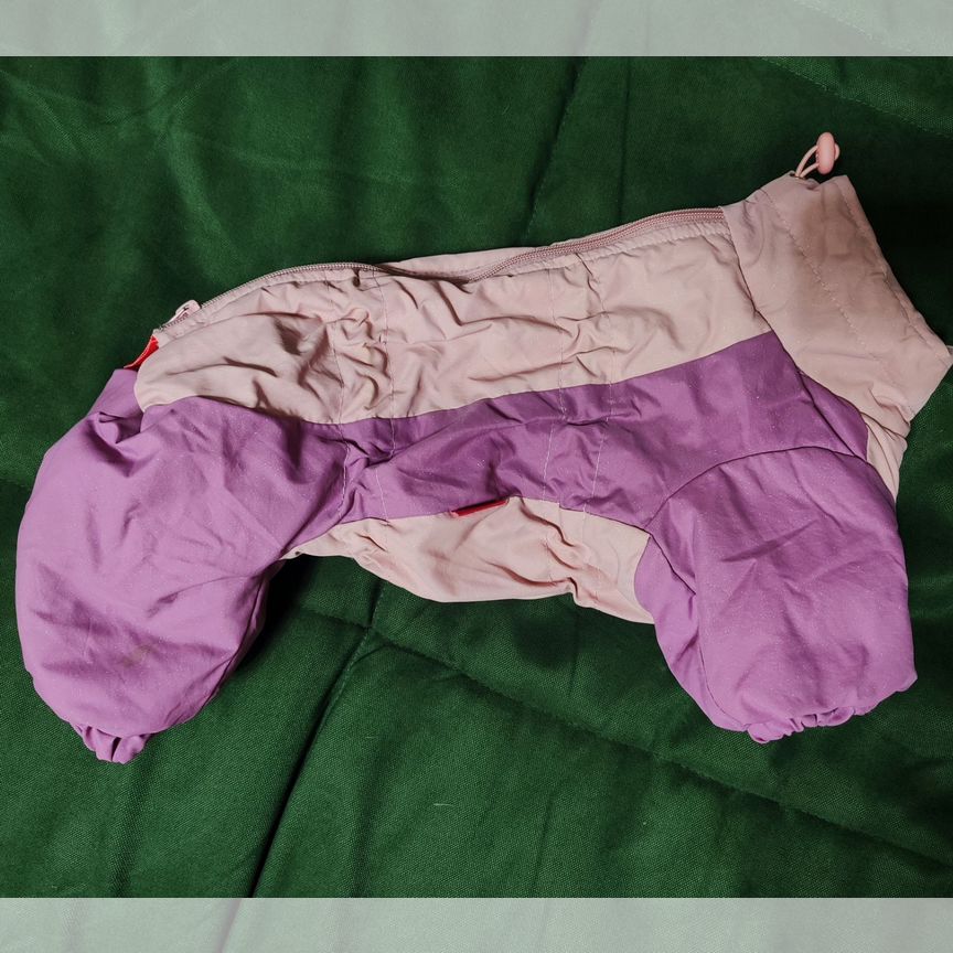 Зимний комбинезон для маленькой собаки