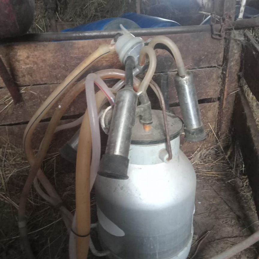 Доильный аппарат для коров бу