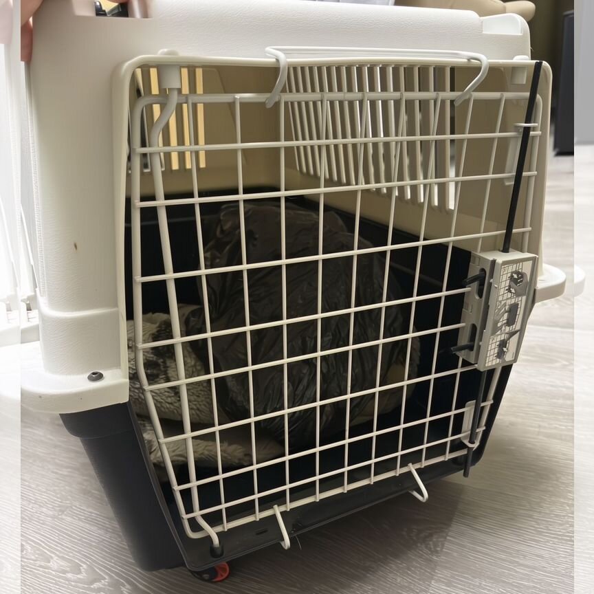 Переноска для собак на колесах