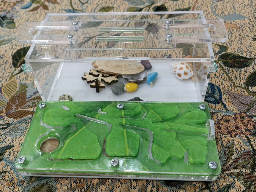 Формикарий муравьиная ферма