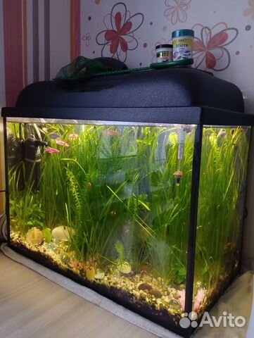 Аквариум 60л