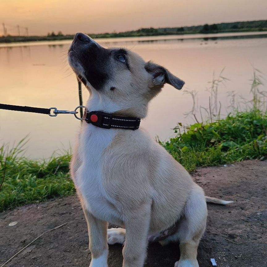 В ответственные руки