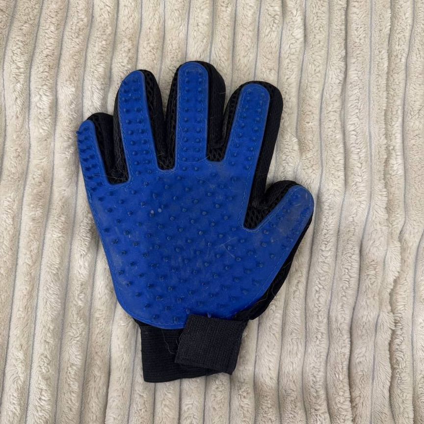 Амуниция для корги