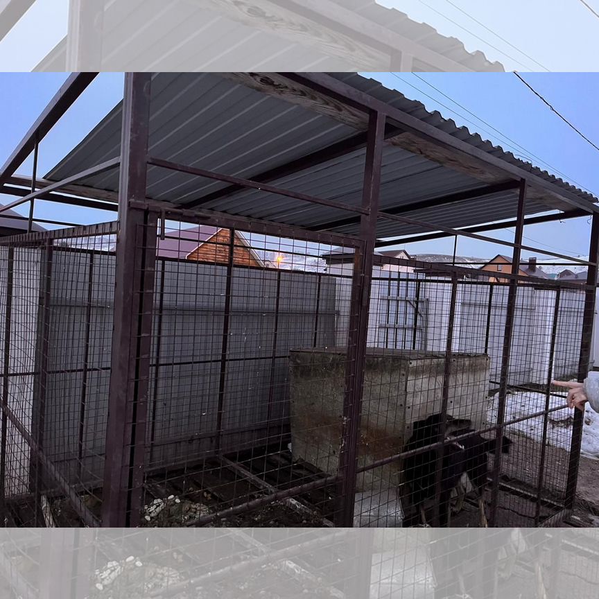 Вольер для собак уличный