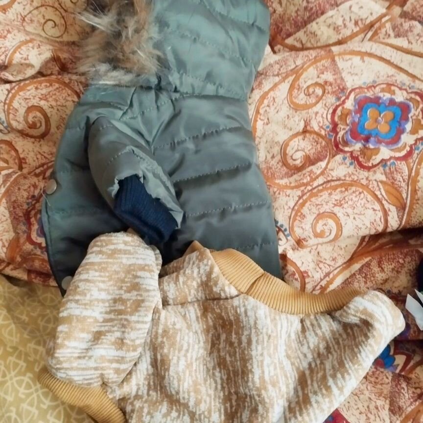 Одежда для маленьких пород собак