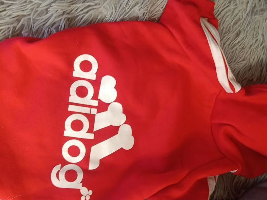 Кофта для собак