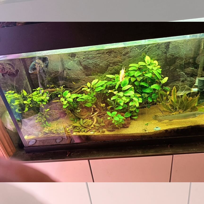 Аквариум.пустой 200 литров. Освещение 2 лампы